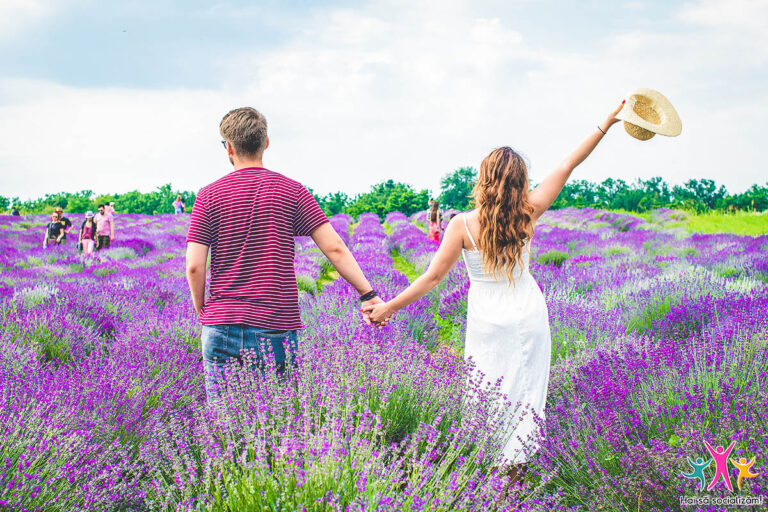 Relaxare in Gradina de Lavanda si la Paltinu #3 - Hai sa socializam!